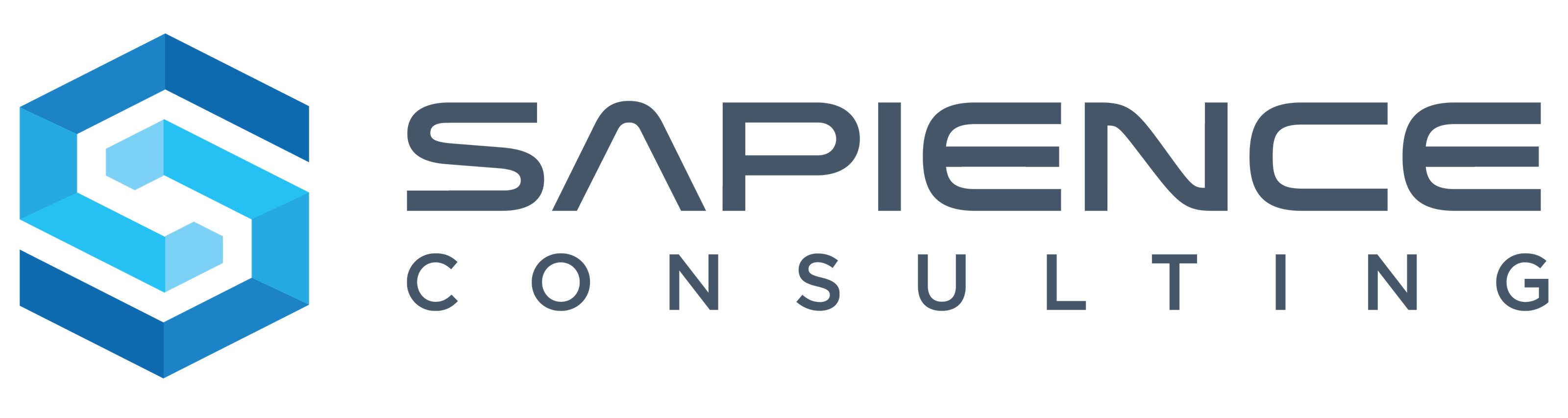 Devsecops Consulting It Staffing Sapience Consulting Llc